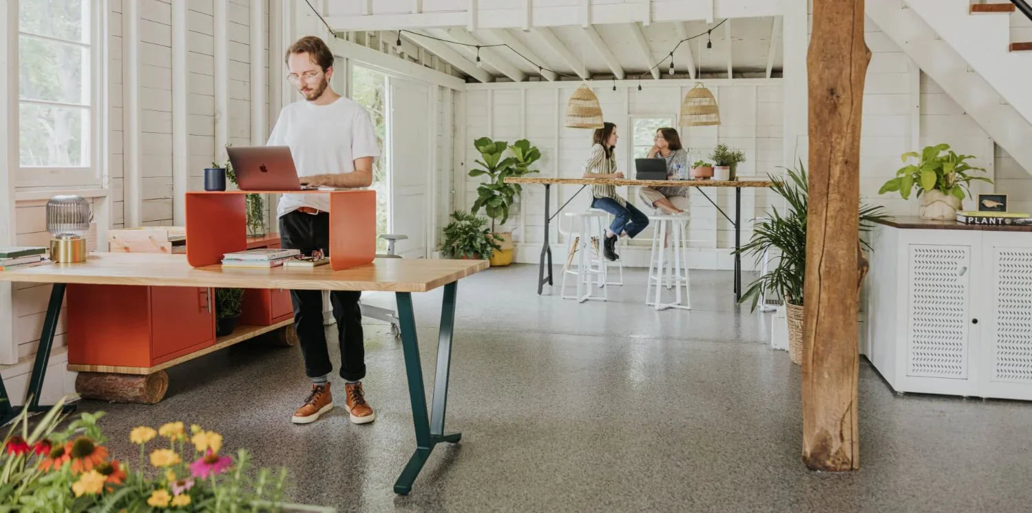 The Elements Collection