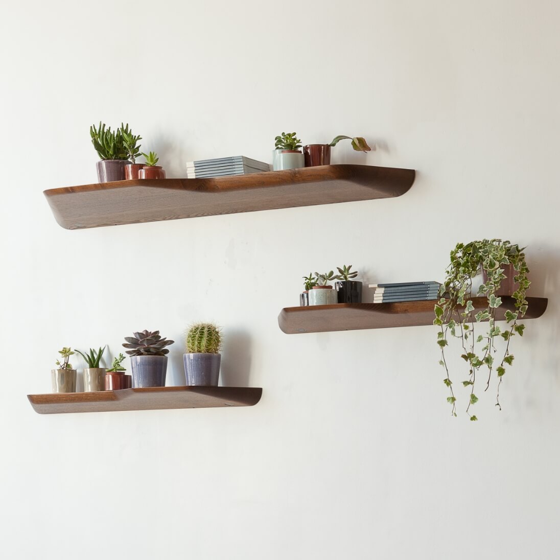 Buzziplank Wood Floating Shelf with Blind Support | Haworth Canada