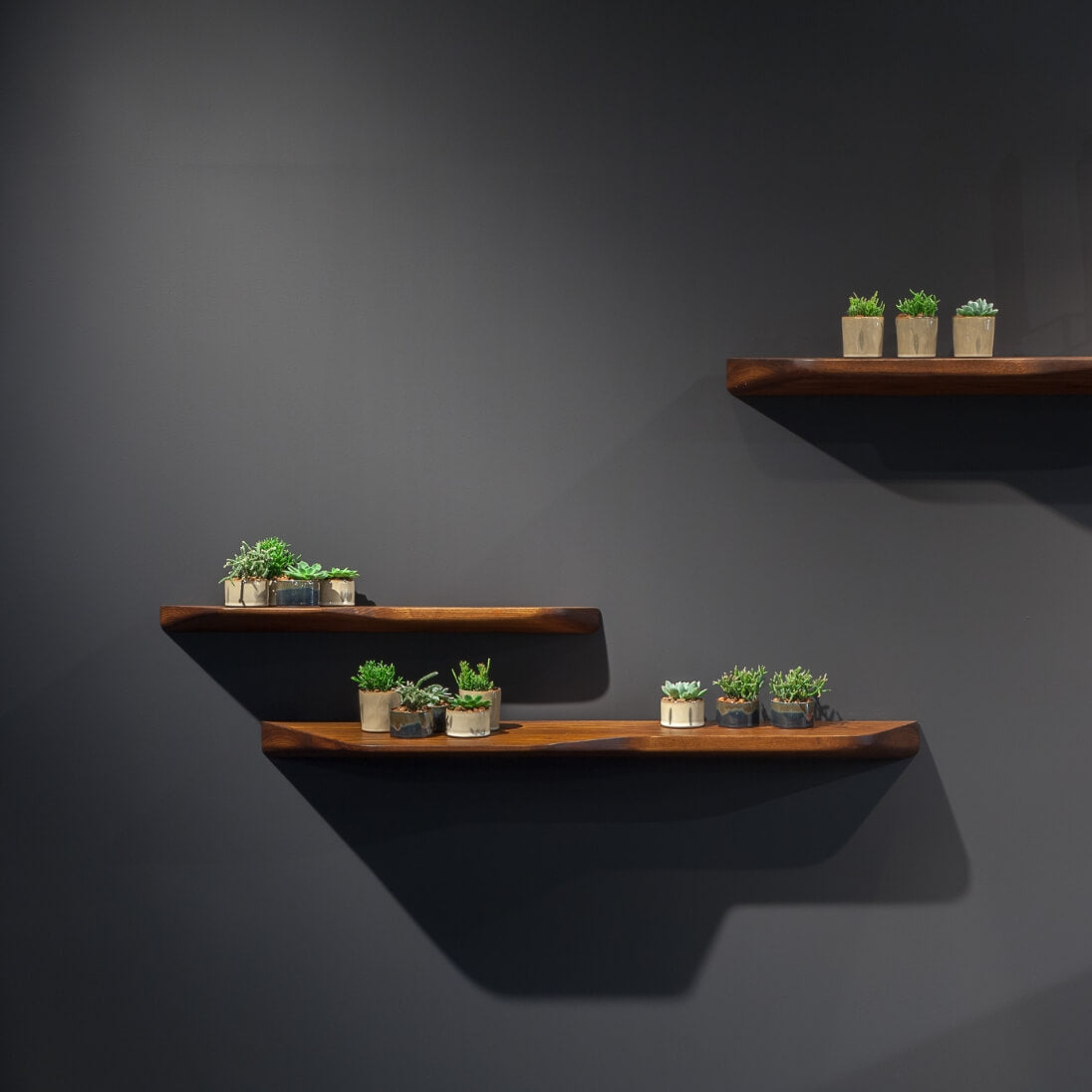 Buzziplank Wood Floating Shelf with Blind Support | Haworth Canada