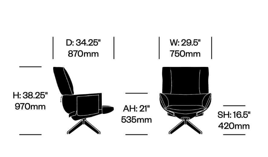 Ludo Cappellini Lounge Chair – Stylish Office & Lounge Seating ...